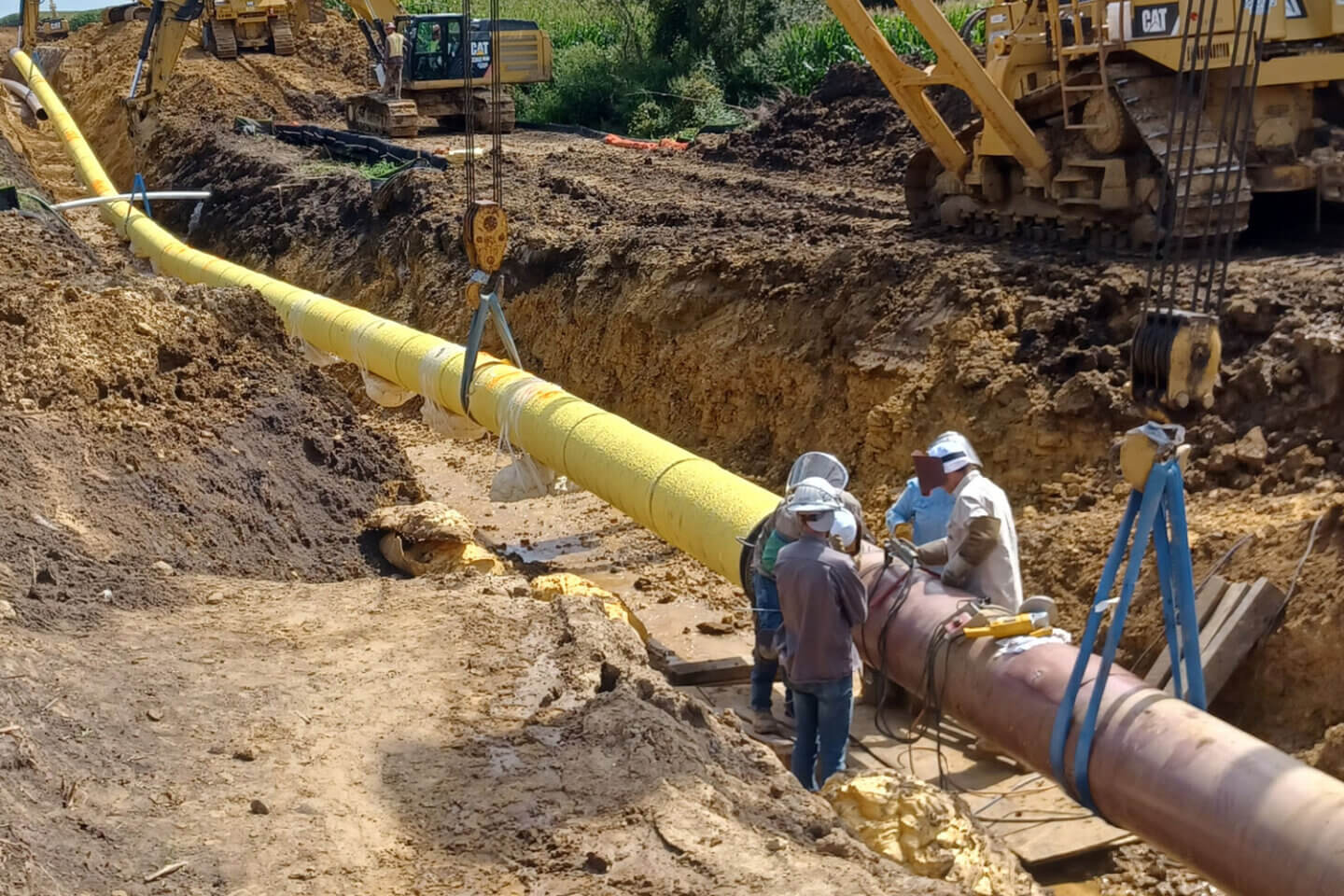 Ardmore Roderick