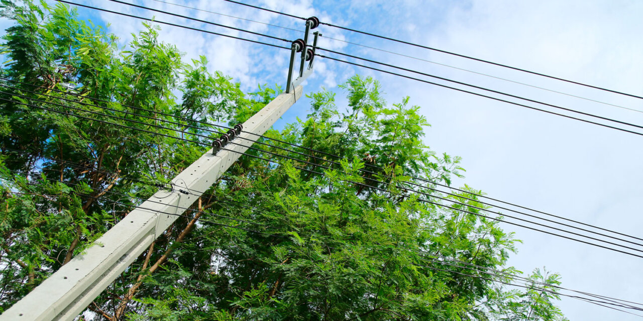 Vegetation Management Program in Southeastern, PA | Ardmore Roderick